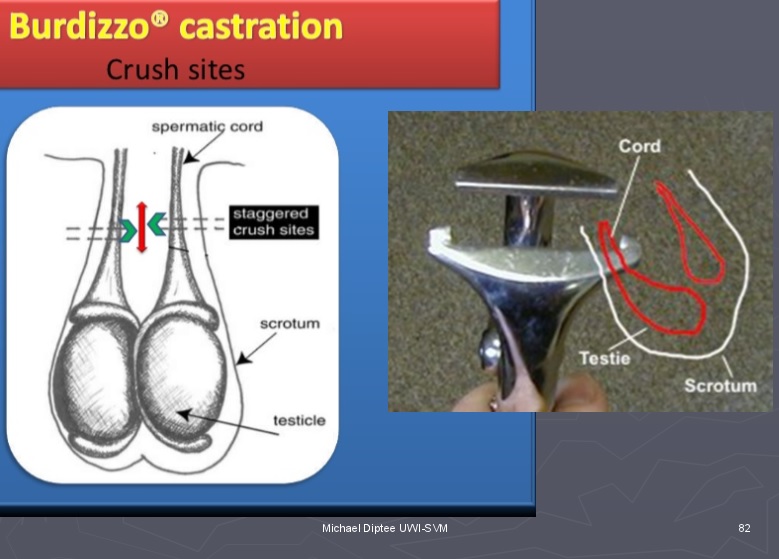 IHMC Public Cmaps (3)